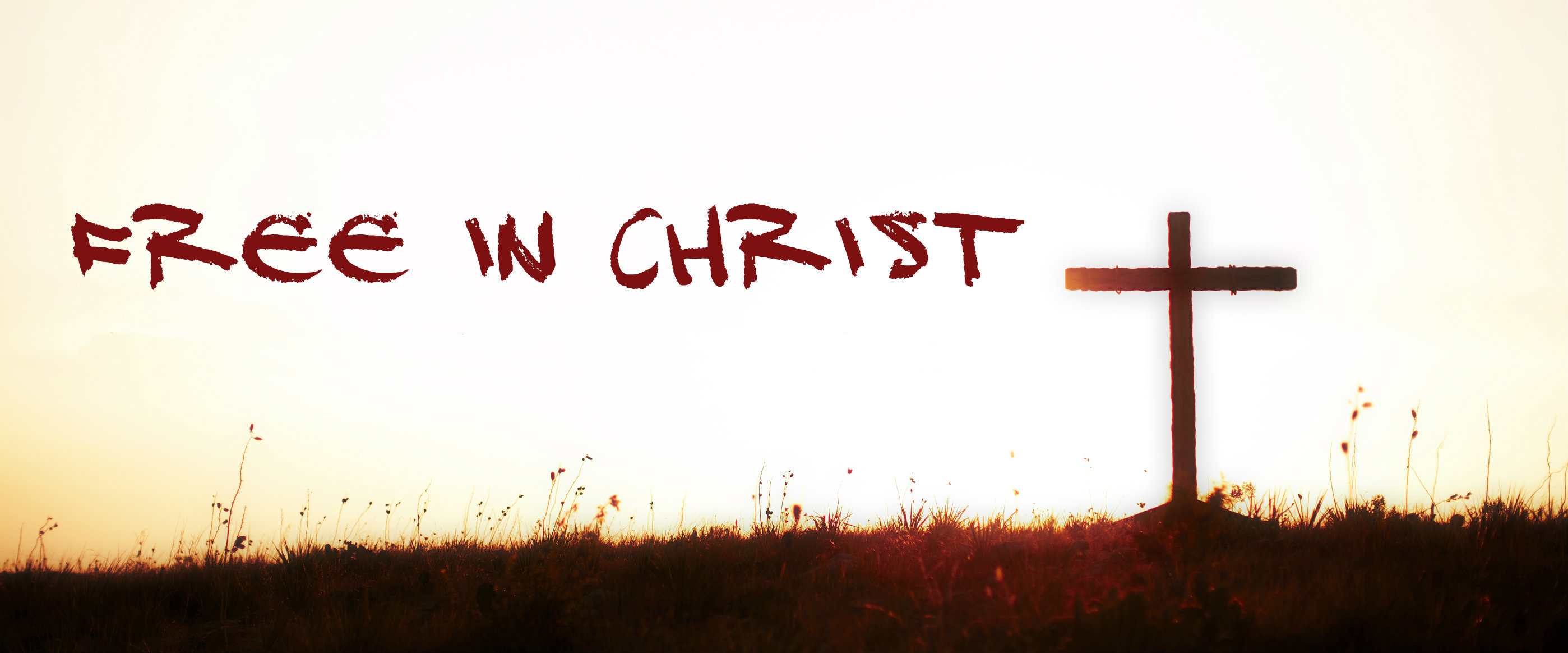 Recovery Starts Here - New Hope for Sexual Integrity